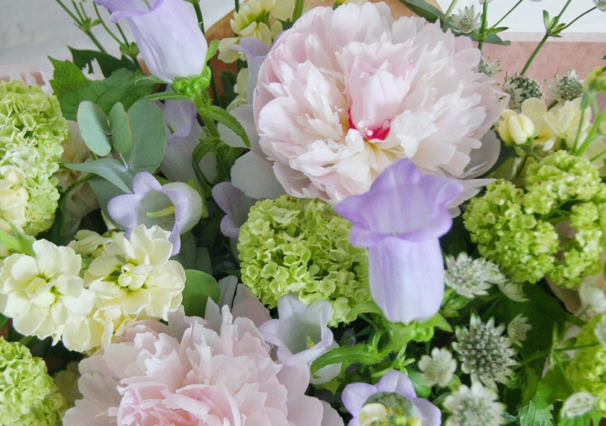 Jessica Lila Florist Worthing Order Online or 01903 389014