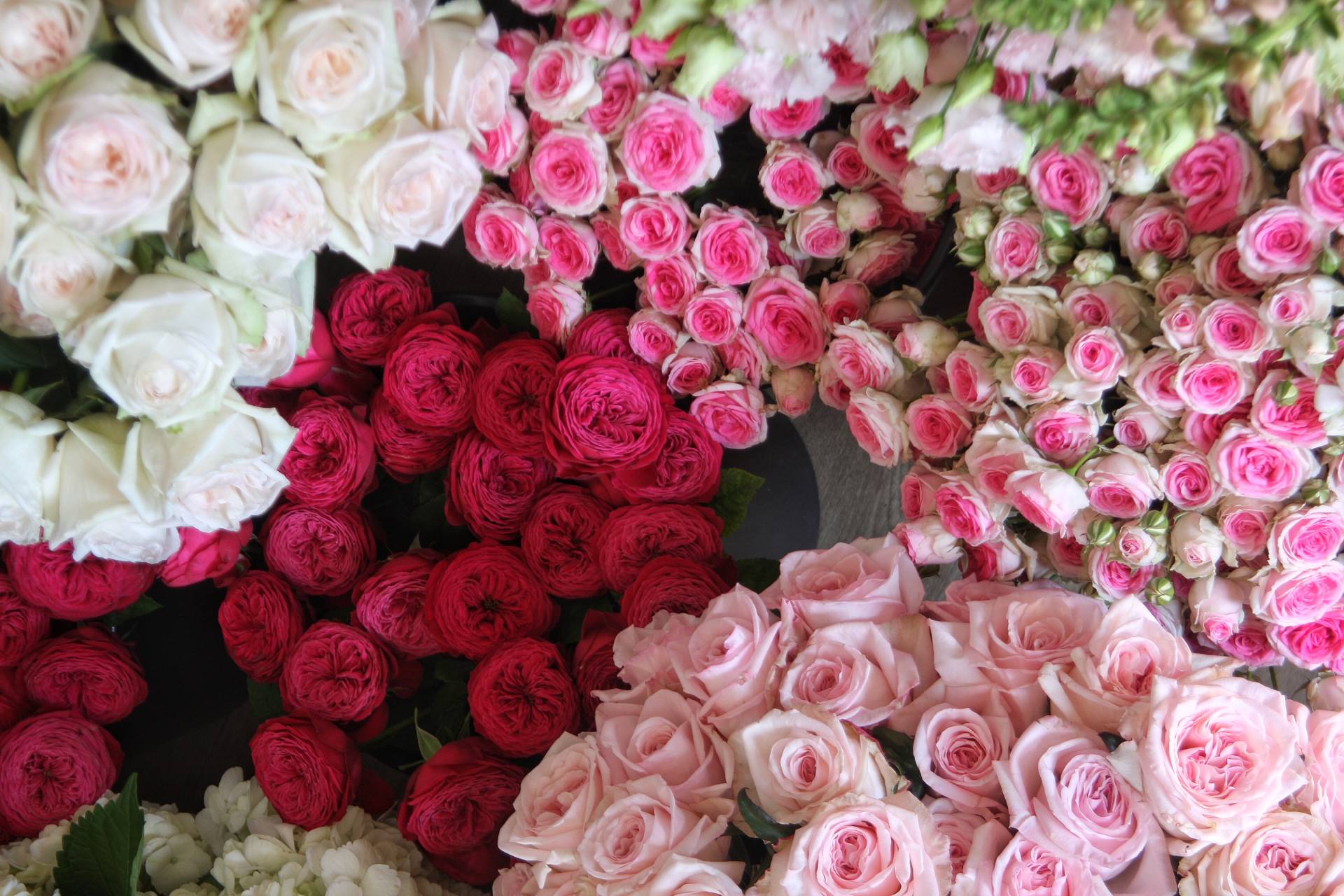 Jessica Lila Florist Worthing Order Online or 01903 389014