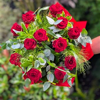 Luxury Dozen Red Roses Jessica Lila Florist Worthing